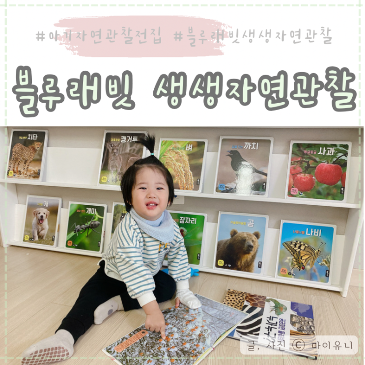 블루래빗 생생자연관찰 25개월 두돌 아기전집 3개월 책육아후기 네이버 블로그