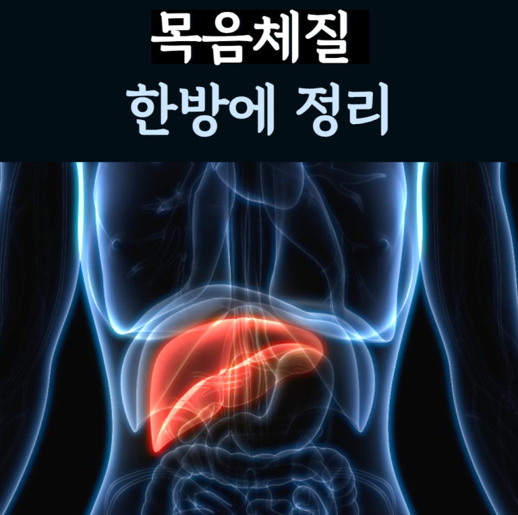 목음체질 음식 성격 특징 한방에 정리 오진없이 확진까지 네이버 블로그
