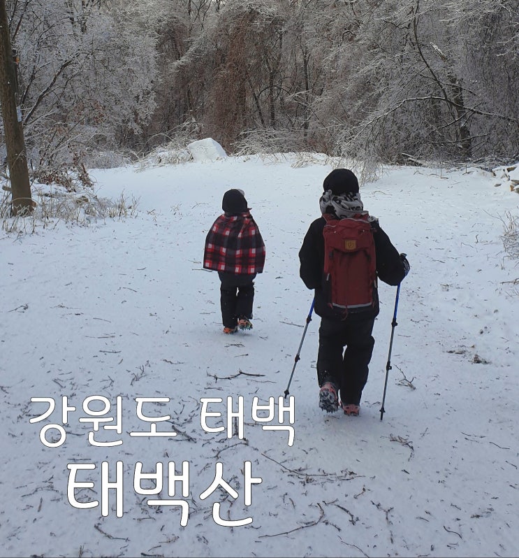 태백산 태백산 초보 등산 코스유일사코스아이들과 함께 태백산 등산 네이버 블로그