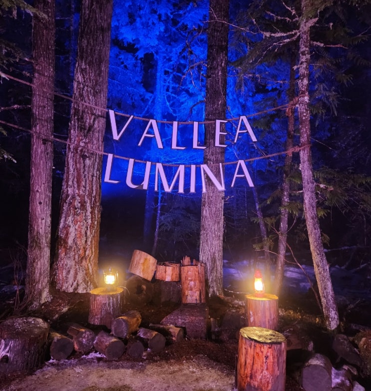 캐나다 휘슬러여행 가 볼만한곳 환상의 숲 벨라 루미나(Vallea Lumina) 빛 축제 추천 : 네이버 블로그