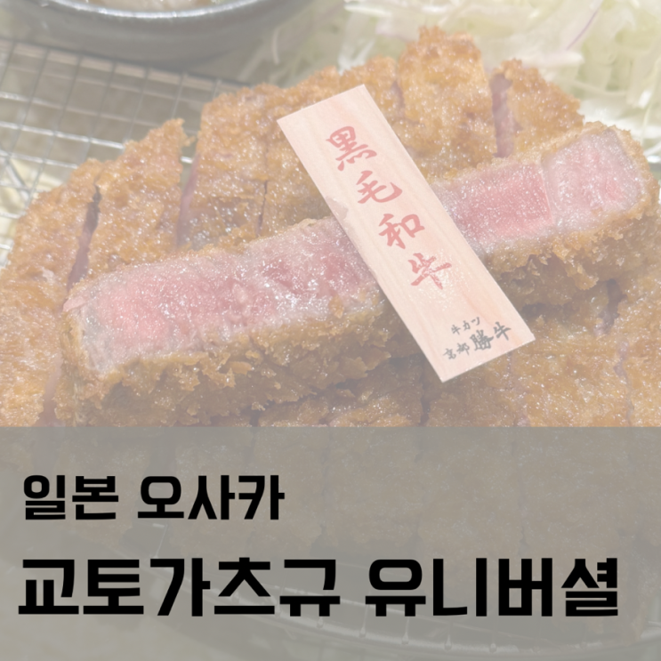 일본 오사카 유니버셜스튜디오근처 추천 맛집 교토가츠규 규카츠 네이버 블로그