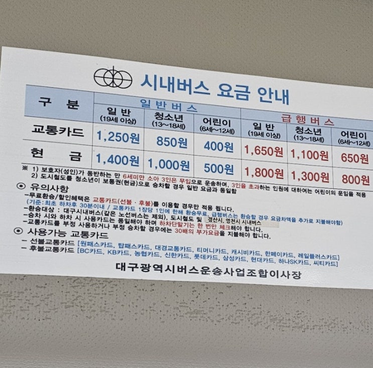 대구 청소년 버스요금 지하철요금중학생 운동화초등학생 운동화 구매예비중2중1초3신발사이즈 네이버 블로그