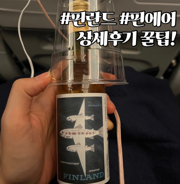 인천 헬싱키 핀에어 기내식 좌석선택꿀팁 음료 기내영화 충전 담요 상세 후기 💛 네이버 블로그