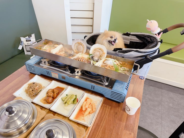 강릉 애견동반식당 세인트존스호텔 근처 고선생화덕생선구이 강아지동반식당 네이버 블로그