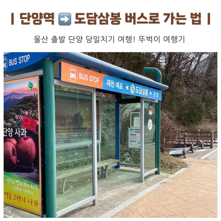 울산 출발 단양 당일치기 여행 단양역에서 도담삼봉 가는 법 네이버 블로그