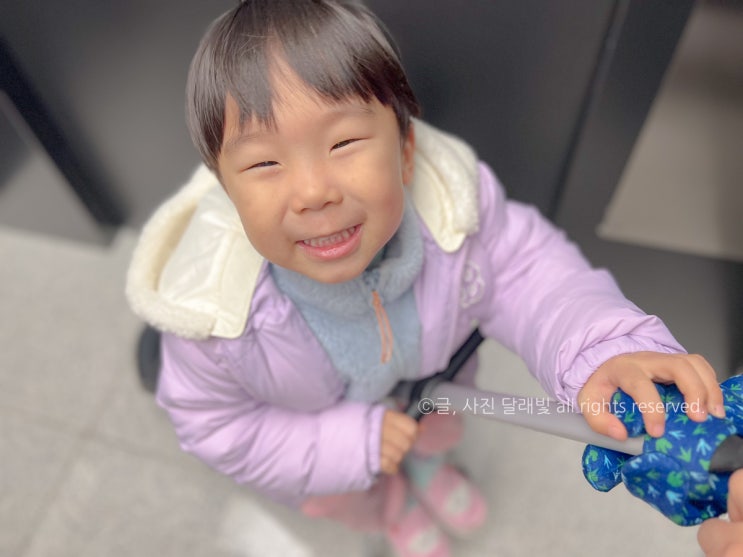 아기 유아타는캐리어 마이크로 러기지이지 유모차캐리어 굿 네이버 블로그