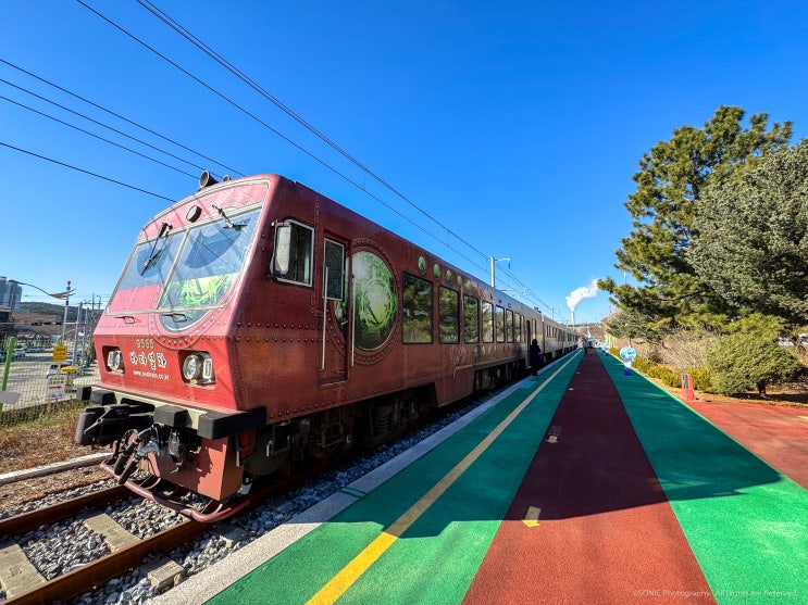 2023.12.21 올해 크리스마스 이후 운행중지예정인 동해바다열차 탑승여행 : 네이버 블로그