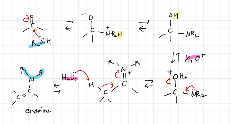 Basic Organic Chemistry :: 이민, 엔아민 생성반응/1,2차 아민 친핵성반응 (RNH2, R2NH ...