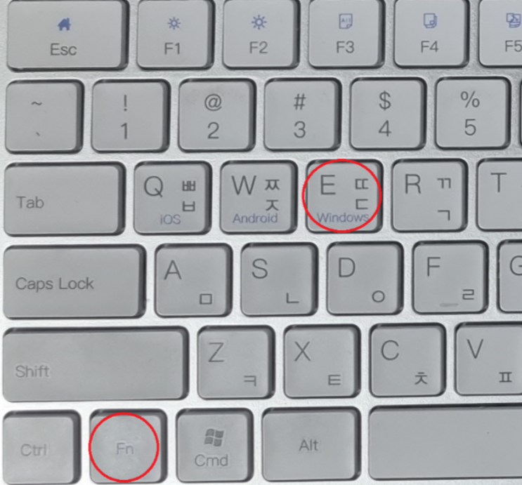 F5 안될때 해결법.F키 안됨. Fn키 해제 방법 : 네이버 블로그