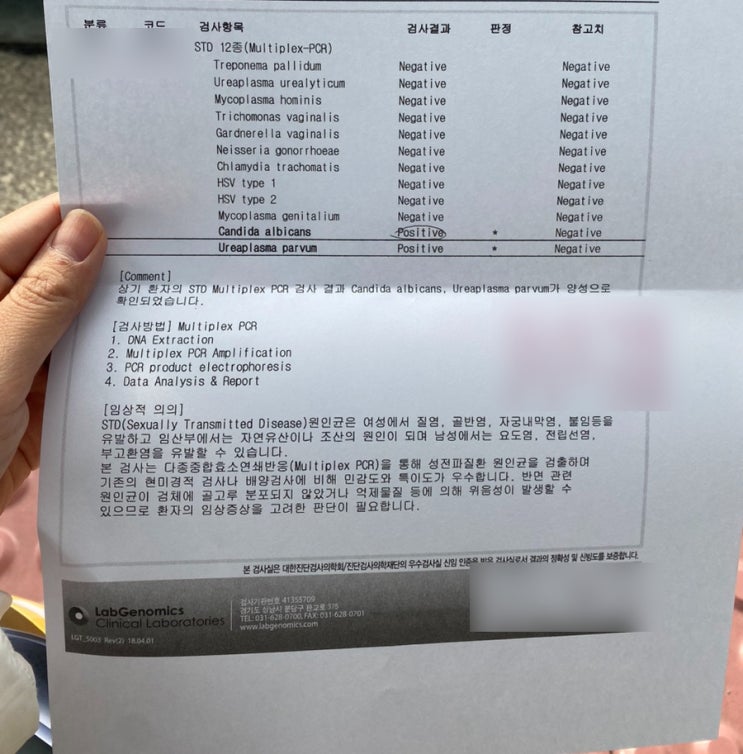 STD 12종 성병 검사 후기 비용 결과 해석 뜻 항목 종류 실비가능 : 네이버 블로그
