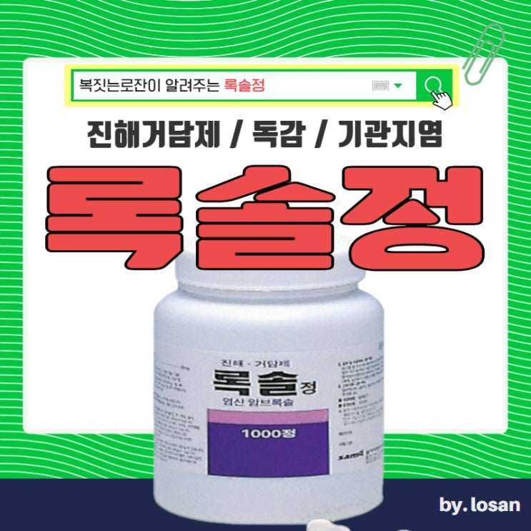 록솔정 임산부 부작용 콧물 복용법 록솔정어린이 효과 네이버 블로그