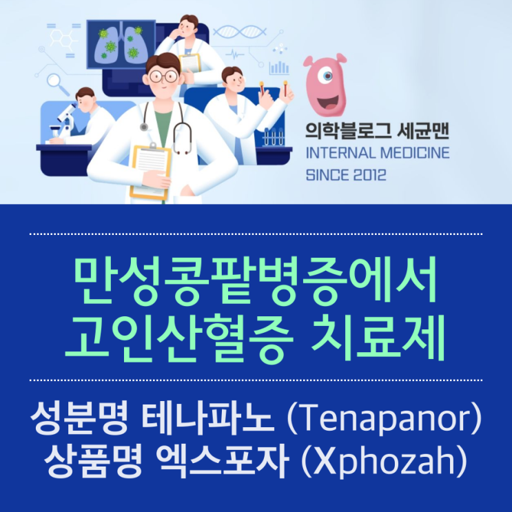 만성콩팥병증에서 고인산혈증 치료제 - 테나파노 (tenapanor) : 상품명 엑스포자 (Xphozah) : 네이버 블로그