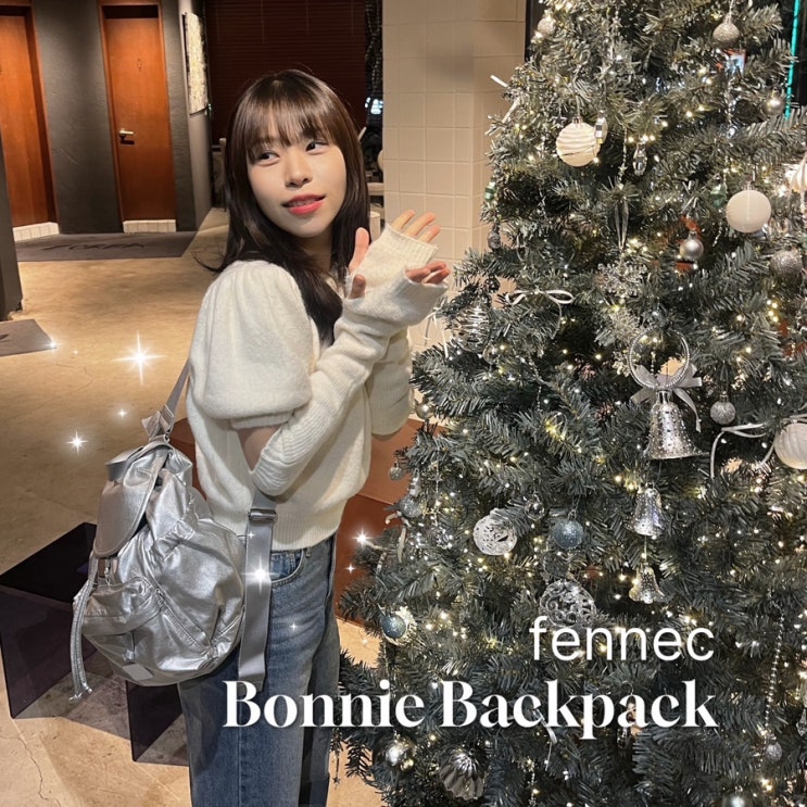 실버백 추천 및 코디,MZ 핫한 미니백팩 Fennec_10만원대 갓성비 디자이너 브랜드 가방 : 네이버 블로그