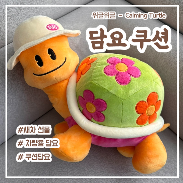 위글위글 거북이 쿠션 담요 추천, Calming Turtle : 네이버 블로그