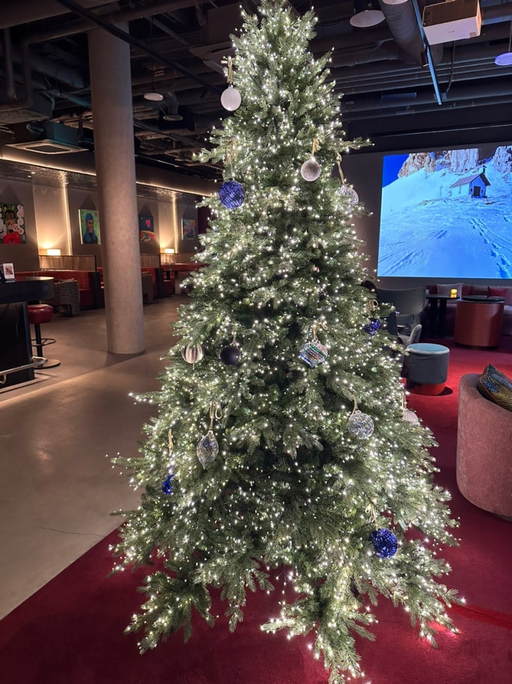 [양양 숙소] 코랄로 바이 조선 : 네이버 블로그