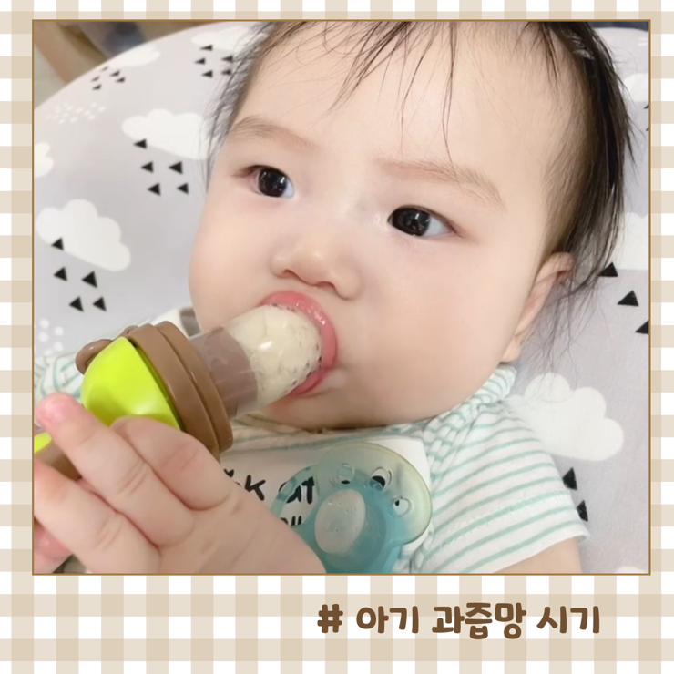 아기 과즙망 시기 언제부터 언제까지 사용하면 좋을까 네이버 블로그