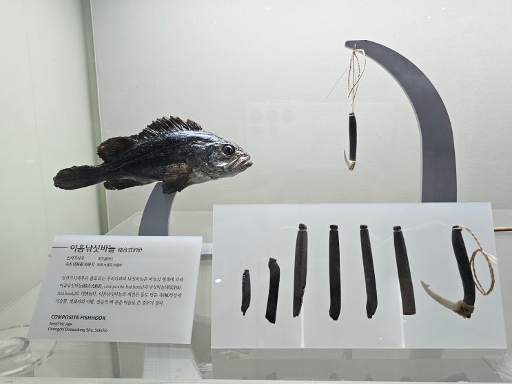 속초 갈만한곳 당일치기 코스 여행 속초 시립 박물관 입장료 체험 네이버 블로그