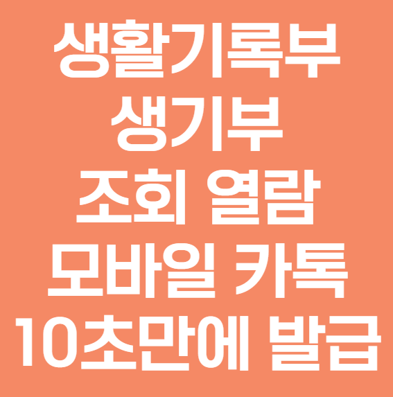생활기록부 조회 생기부 열람 출력 모바일 고등학교 중학교 초등학교 초중고 카카오톡 스마트폰 생기부 제가 직접 10초만에 발급