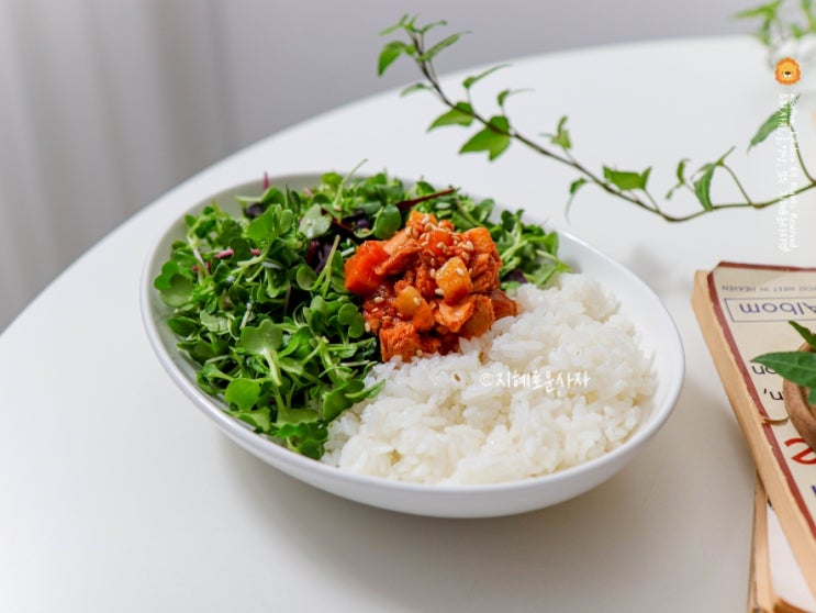 참치새싹비빔밥 만드는 법 간단한 주말점심메뉴 고추참치 어린잎채소 새싹비빔밥 한그릇요리 네이버 블로그