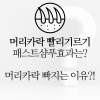머리카락이 자라는 원리와구조메커니즘 완벽하게 정리해드립니다 모발이 자라는 속도 성장주기 성장기 퇴화기 휴지기 발생기까지