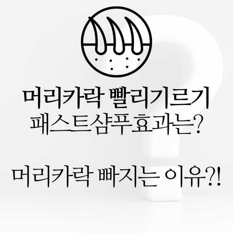 머리카락이 자라는 원리와구조메커니즘 완벽하게 정리해드립니다 모발이 자라는 속도 성장주기 성장기 퇴화기 휴지기 발생기까지