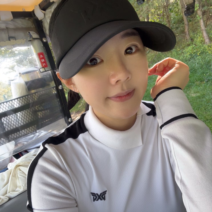 파주 골프레슨 골프자세교정 드라이버 진도 나갔음 비거리 높이기 네이버 블로그
