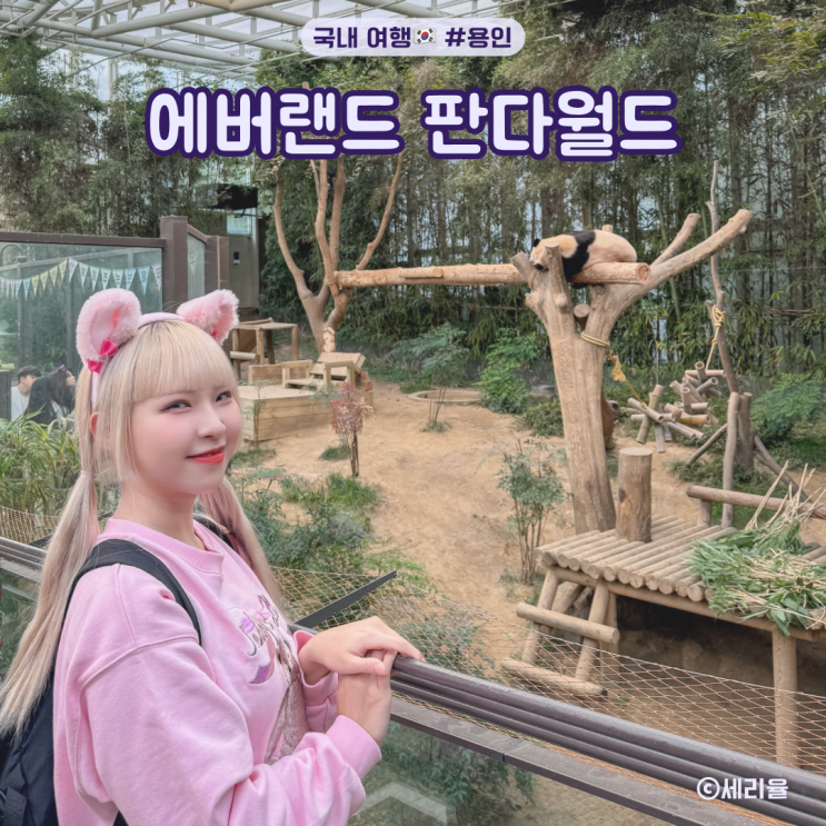에버랜드 판다월드 푸바오 위치 예약 5분 관람 스마트줄서기 입장시간 굿즈샵 평일 후기 네이버 블로그