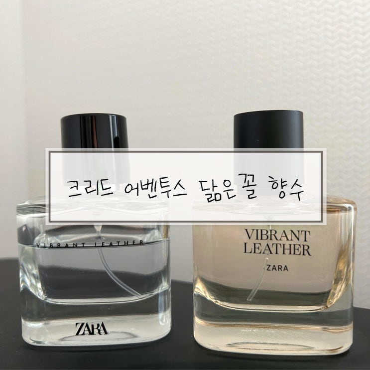 크리드 어벤투스 자라 바이브런트 레더 가성비 남자향수 네이버 블로그