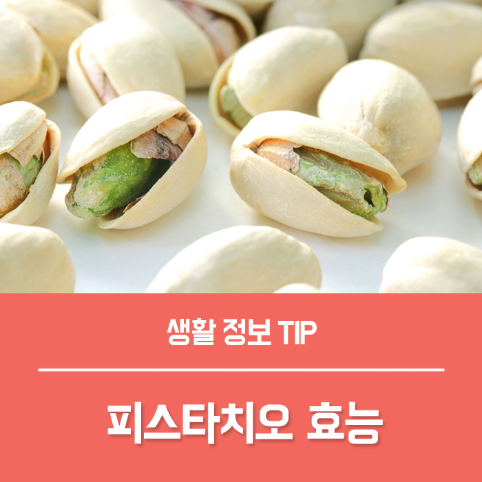 피스타치오 효능 부작용 피스타치오 하루 권장량 칼로리 보관 성분은 네이버 블로그