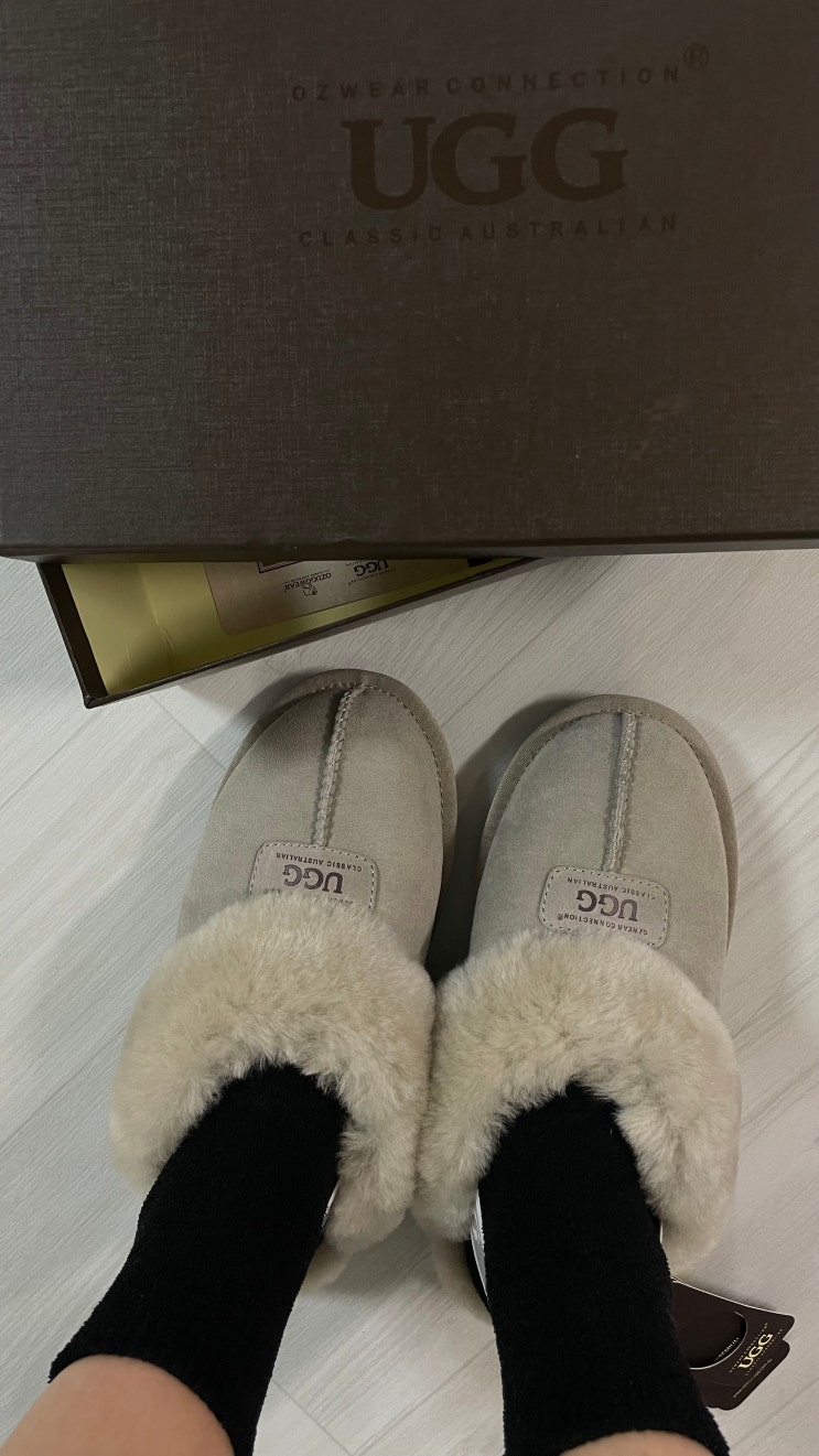 Lpd 공구 호주 오즈웨어 어그 Ugg 스트랩 코켓 슬리퍼 토프 어그 사이즈 팁 네이버 블로그
