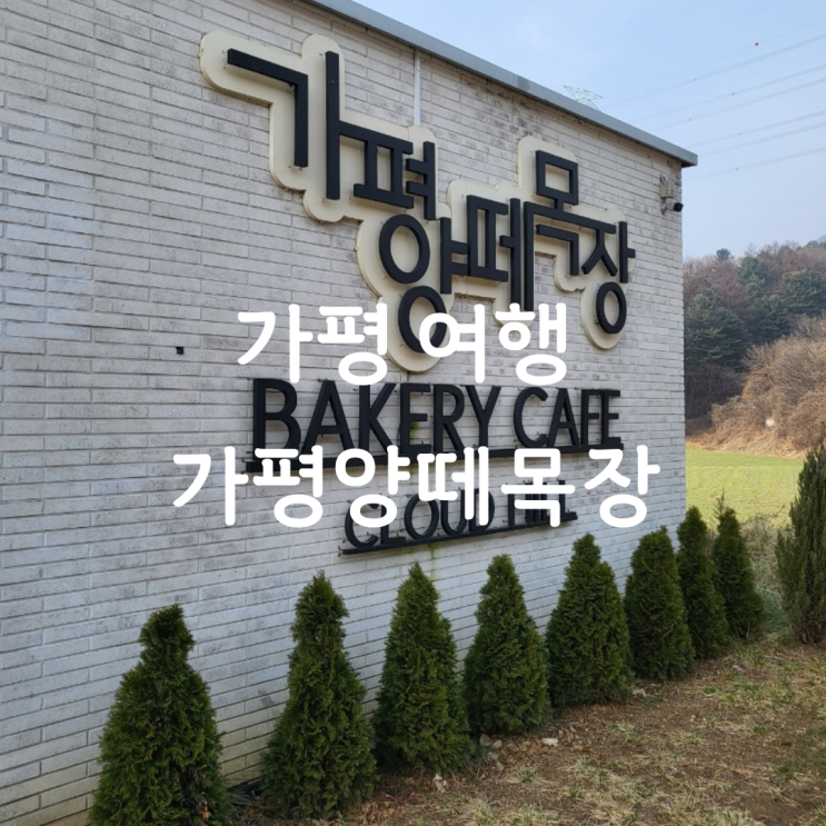 가평 양떼목장 썰매장 놀거리 볼거리 초등 체험활동 아이와가볼만한곳 먹이주기체험 네이버 블로그
