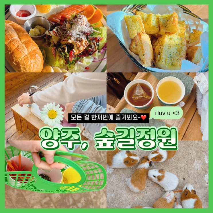 양주 가볼만한 곳 추천 서울 근교 여행 당일치기 볼거리 먹거리 다 갖춘 양주 숲길정원 베이커리 편 네이버 블로그