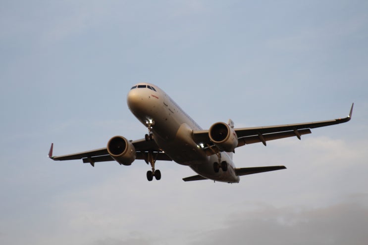 [영국] 2024 YMS 청년교류제도 : 네이버 블로그