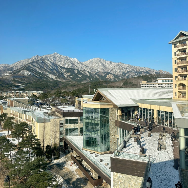 고성 델피노 소노캄 스위트 가족여행 겨울 아기랑 갈만한 곳 네이버 블로그