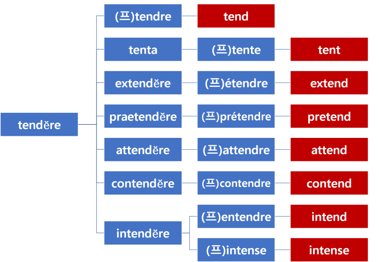 tend와 어원이 같은 단어(2) : attend, contend, intend, intention, intense : 네이버 블로그