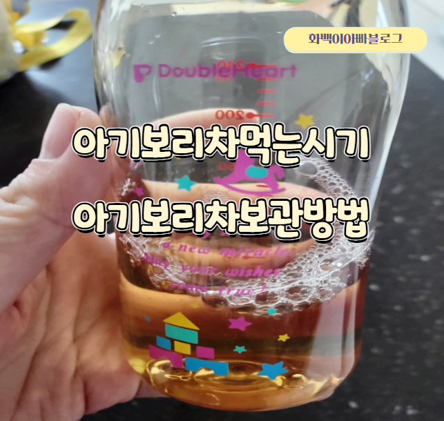 아기보리차시기 아기보리차언제부터 아기보리차보관방법 네이버 블로그