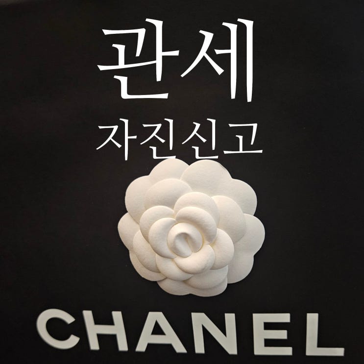 관세 자진신고 방법 세금 금액 계산 명품 세관 신고 네이버 블로그