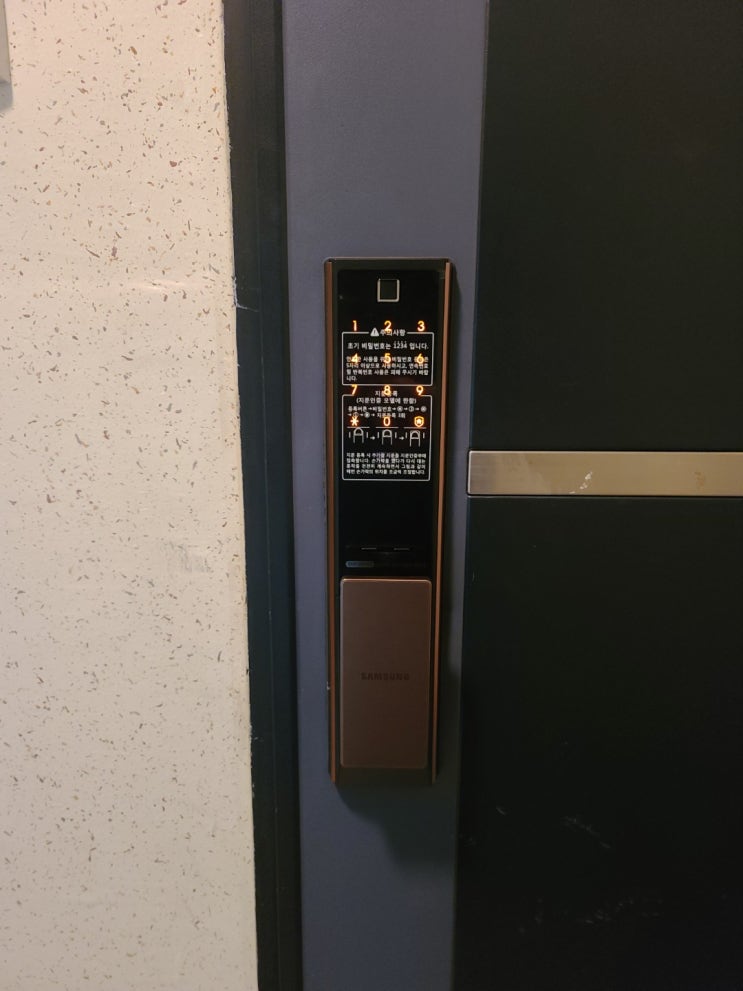 (불로동 대림이편한) SHP-DP951 지문푸시풀 삼성직방도어락 3WAY 출입방식 설치 후기 : 네이버 블로그