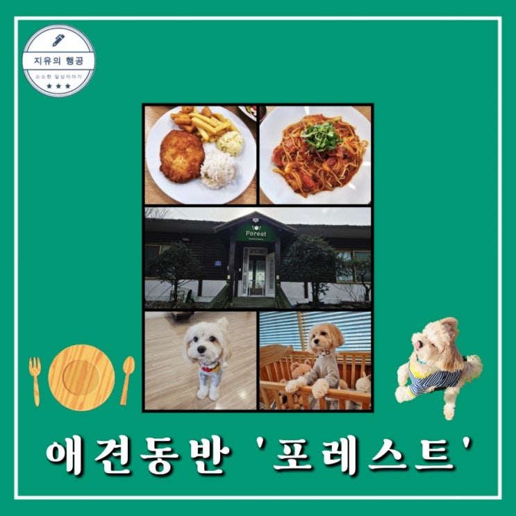 애견동반 식당 포레스트ㅣ가평 수목원 맛집 내돈내산 솔직후기 네이버 블로그