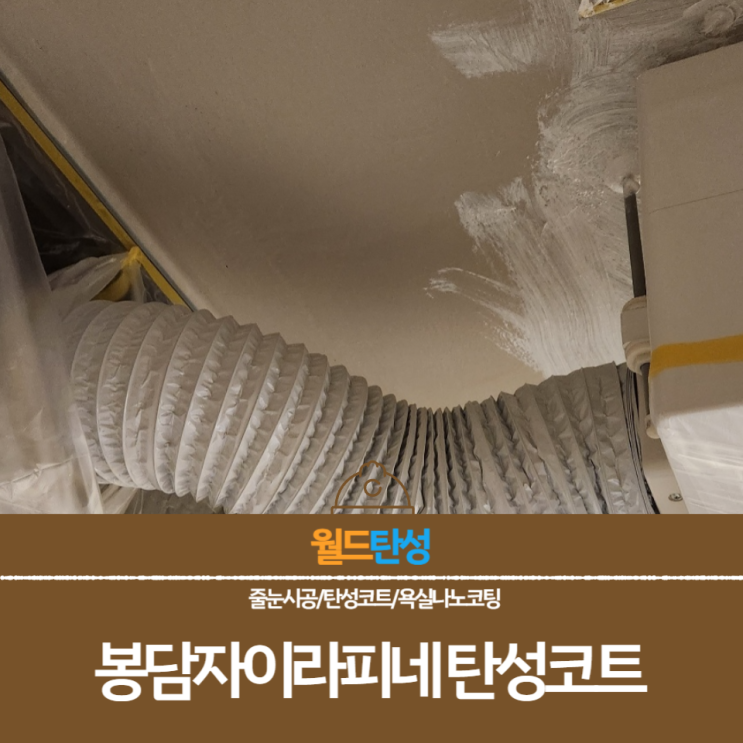 봉담자이라피네탄성코트 정말 잘 하는 업체 월드탄성 이 있습니다 네이버 블로그
