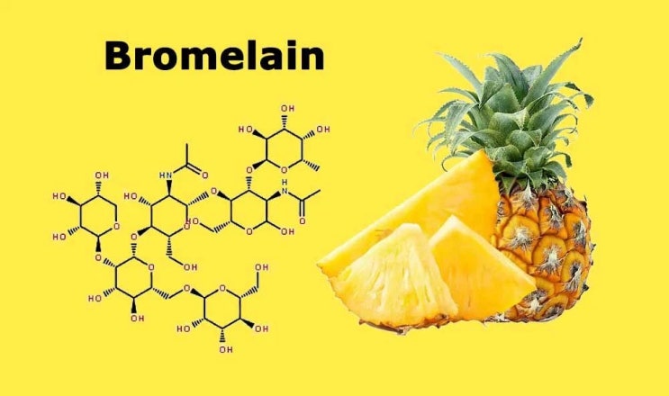 비문증에 탁월한 브로멜라인 큐 효능 효과 및 복용법 구매처 알아보기 체내 부종 부기 제거에도 좋아요 : 네이버 블로그