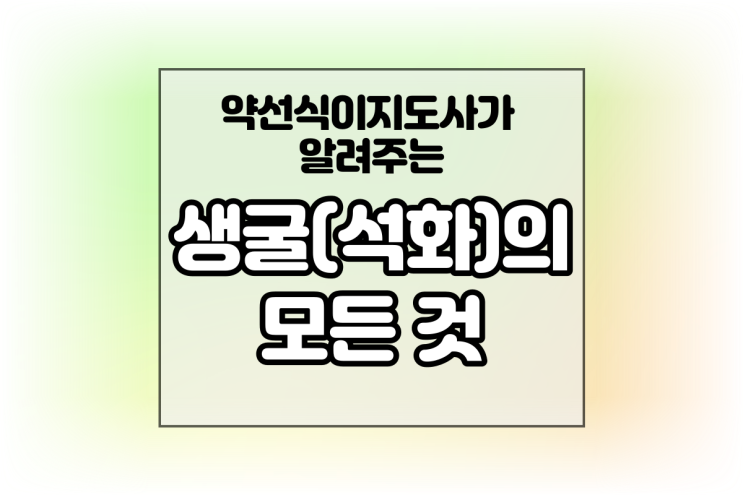 제철 생굴 효능 부작용 세척법 보관기간 석화와 차이점 총정리 네이버 블로그