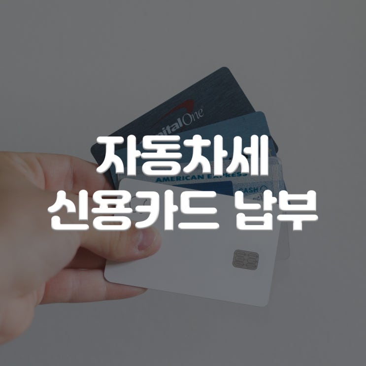 자동차세 납부 신용카드 간편결제 할부 가능 수수료 있을까 네이버 블로그
