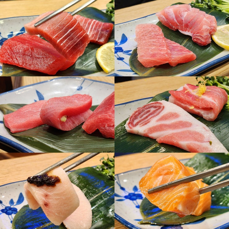 대전 참치 맛집 착한참치 콜키지 프리 둔산동 참치집 네이버 블로그