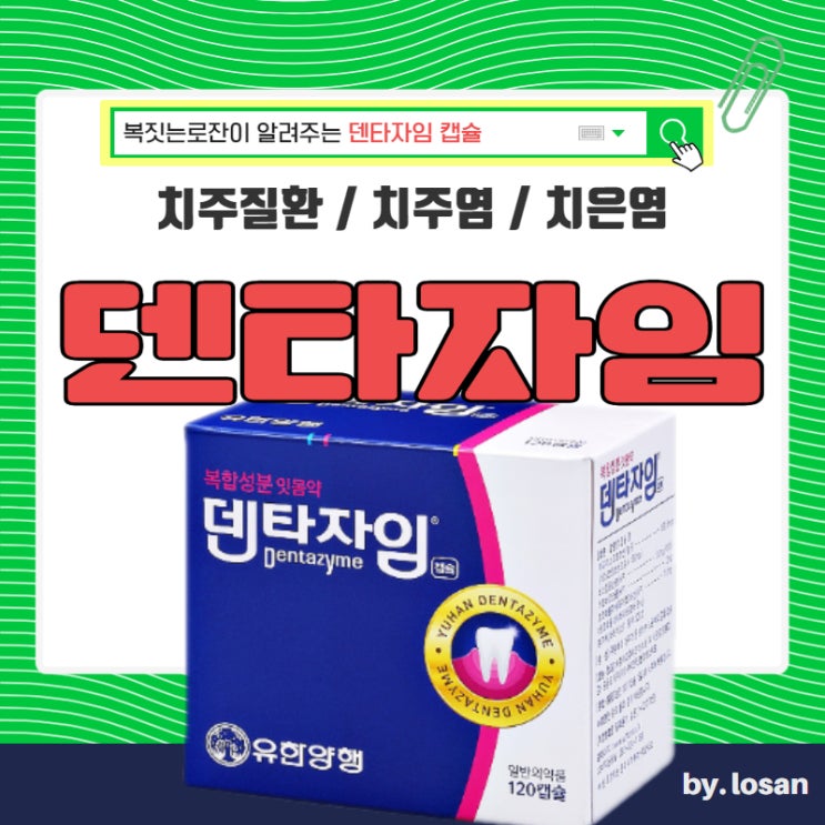 잇몸약 덴타자임 캡슐 가격 효능 효과 치주염 치은염 치주질환 네이버 블로그