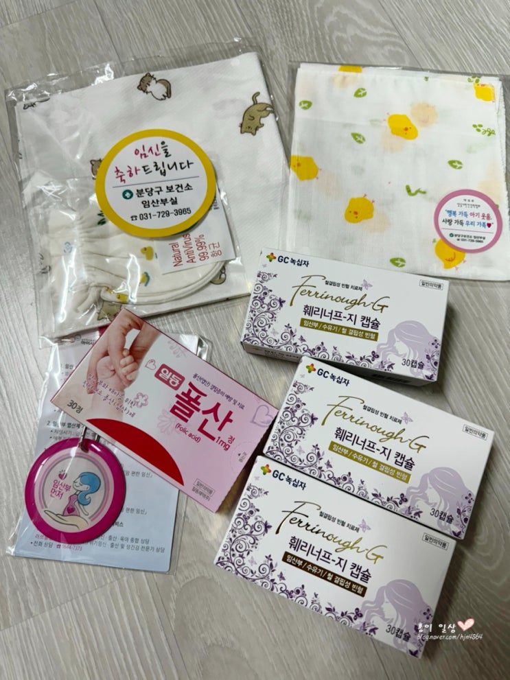 성남 분당구보건소 임신 등록 산전 검사 자동자표지발급 네이버 블로그