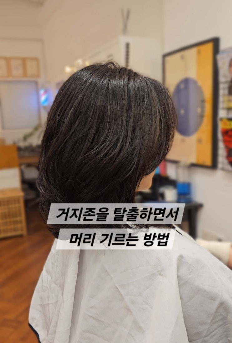 거지존을 극복하고 머리 기르는법 거지존 탈출하는 법머리 빨리 기르는 법 네이버 블로그