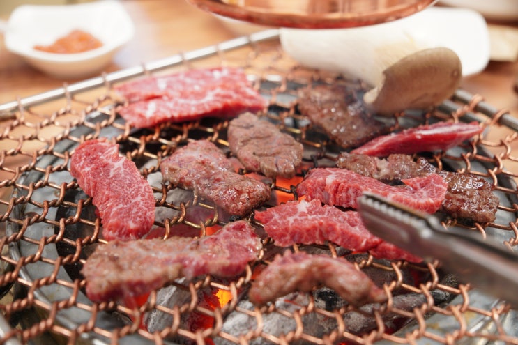 전주 효자동 소고기 맛집 한우 암소 1 또 가고 싶은 황소고집 네이버 블로그