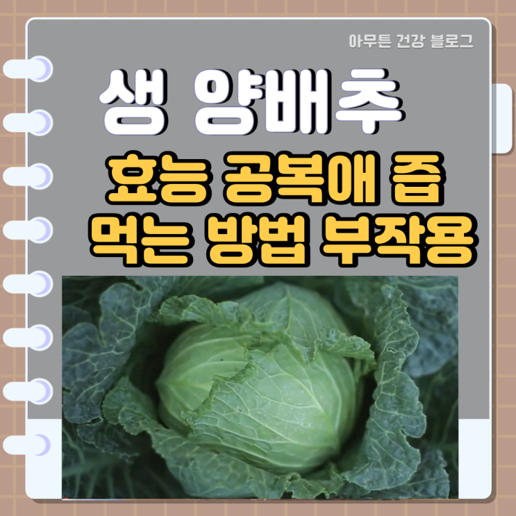 생 양배추 효능 공복에 즙 먹는 방법 부작용 네이버 블로그