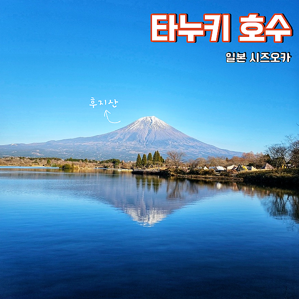 일본 후지산 여행 뷰가 좋았던 시즈오카 타누키호수 네이버 블로그
